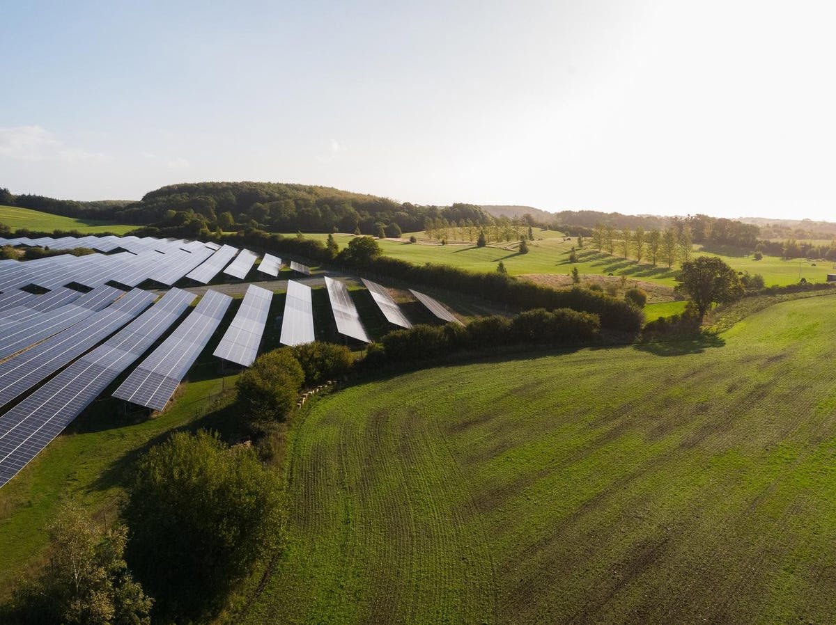 Has ESG Investing Hit a Brick Wall, and How are Investors Reacting ...